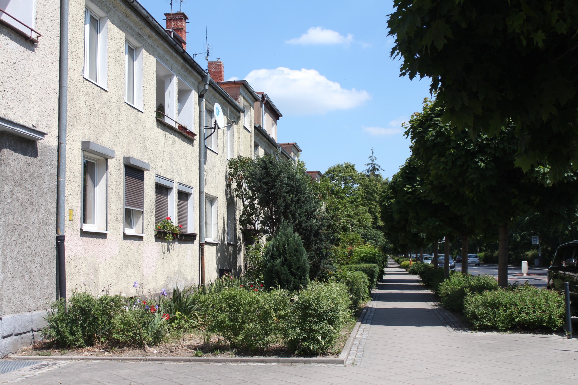 Dzielnice Wrocławia: Sępolno - sen o mieście ogrodzie