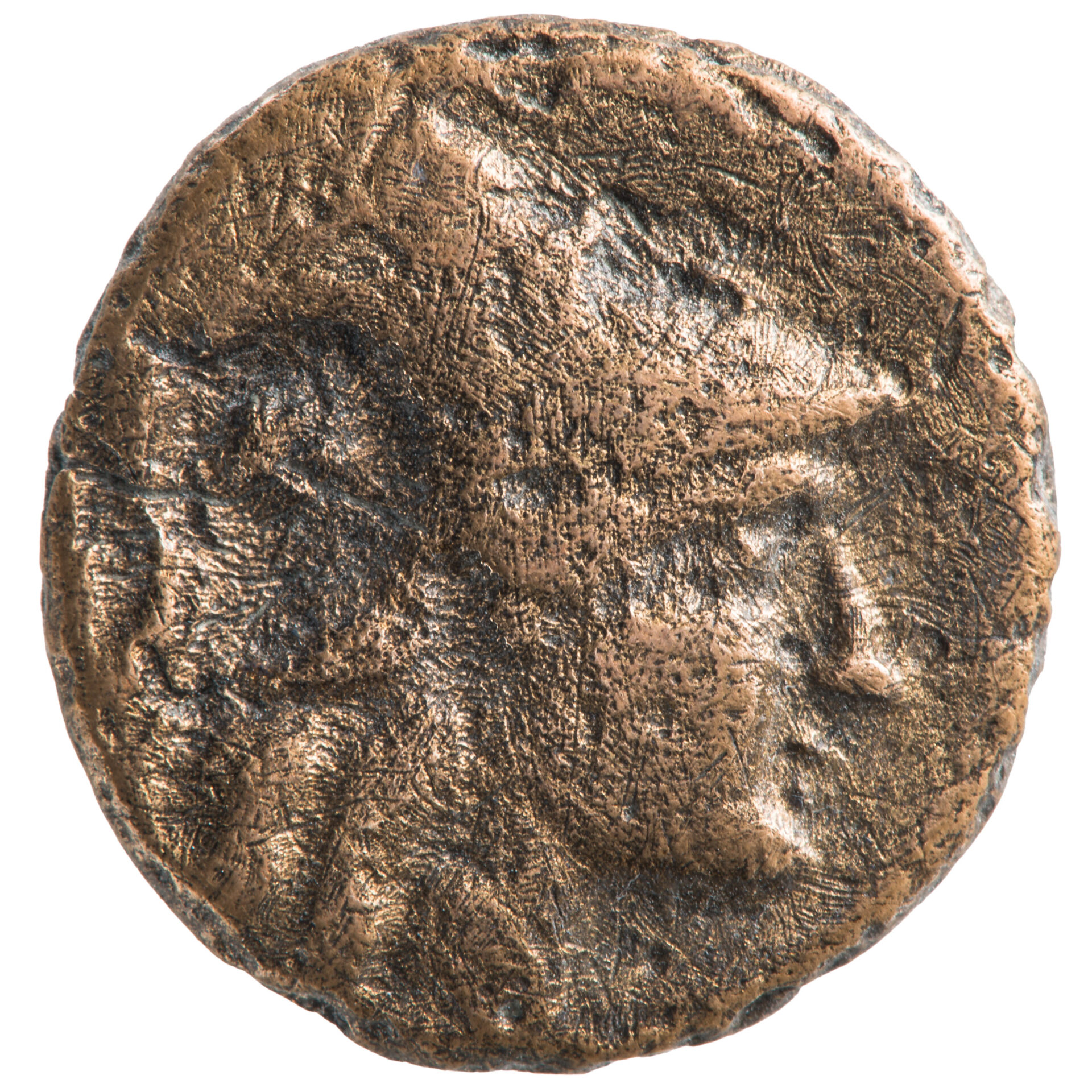 Gabinet osobliwości w Muzeum Archeologicznym we Wrocławiu