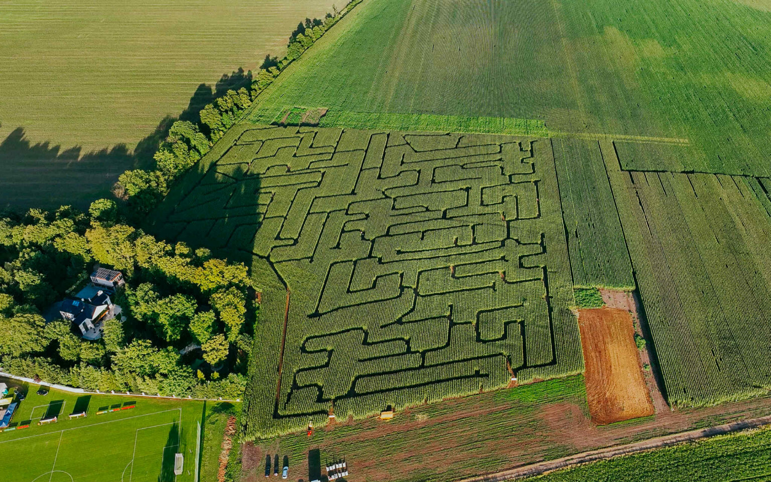 Labirynt w polu kukurydzy pod Wrocławiem. Sprawdź szczegóły!